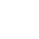 Camellya Build - Wutheringlab