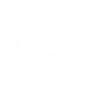 Ciaccona Build - Wutheringlab